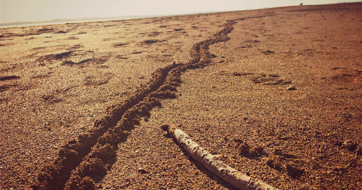 New line for sandline – Sandline